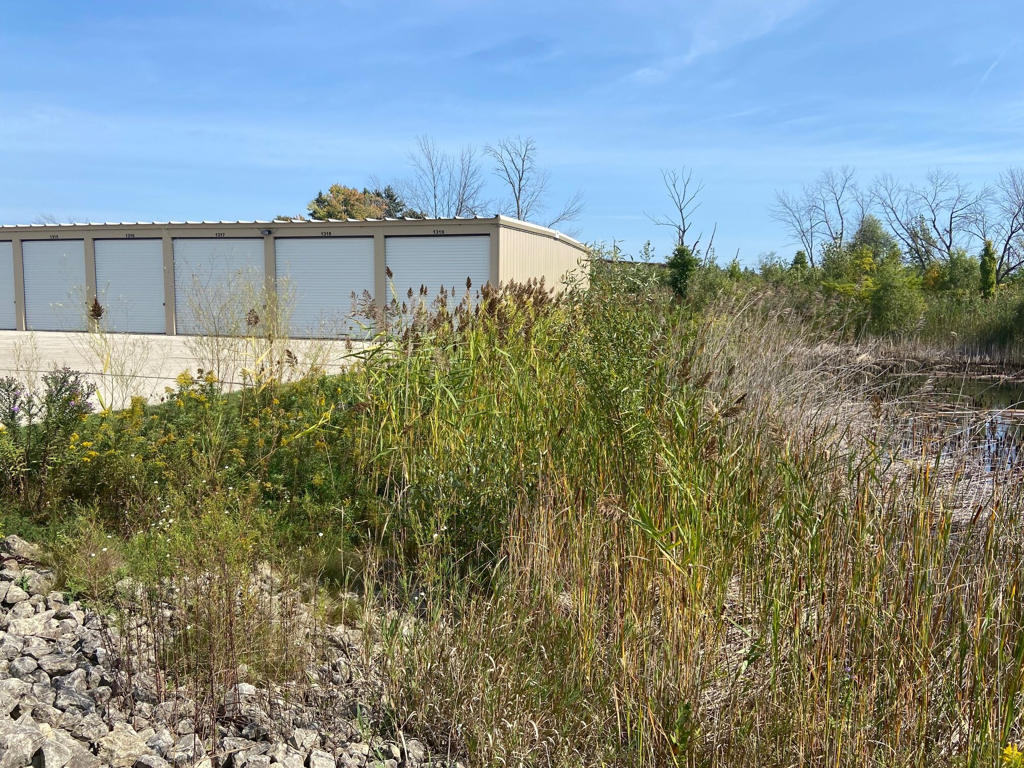 Don’t Use Rodent Bait In Storage Units - MyStorageHome